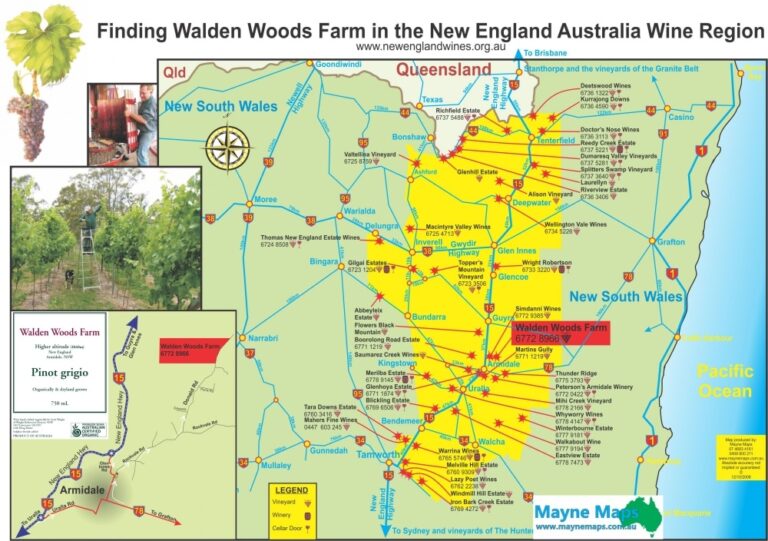 Tourist Flyer Maps Archives - Mayne Maps