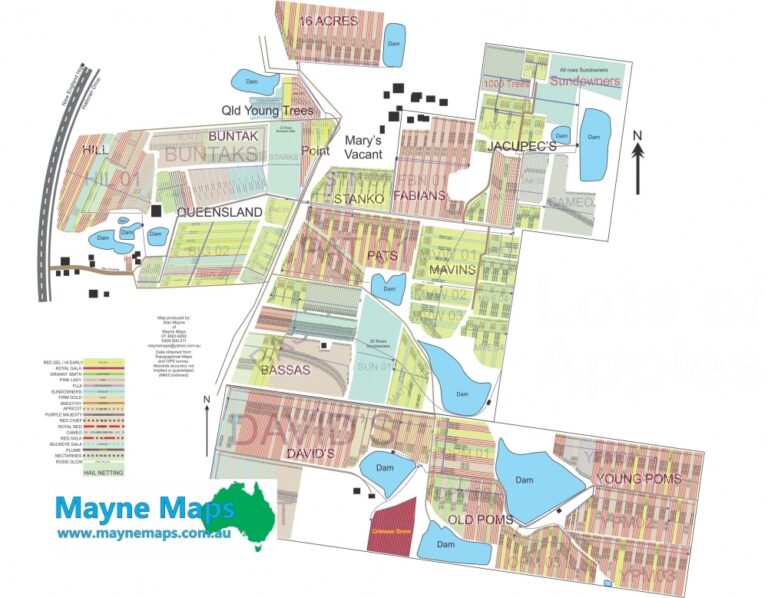 Large Apple Orchard Map - Mayne Maps